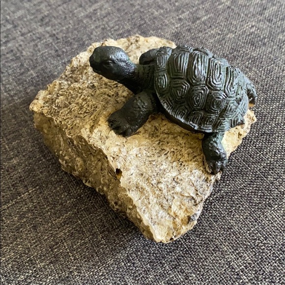 Accents | Turtle On Rock Figurine Sculpture | Poshmark